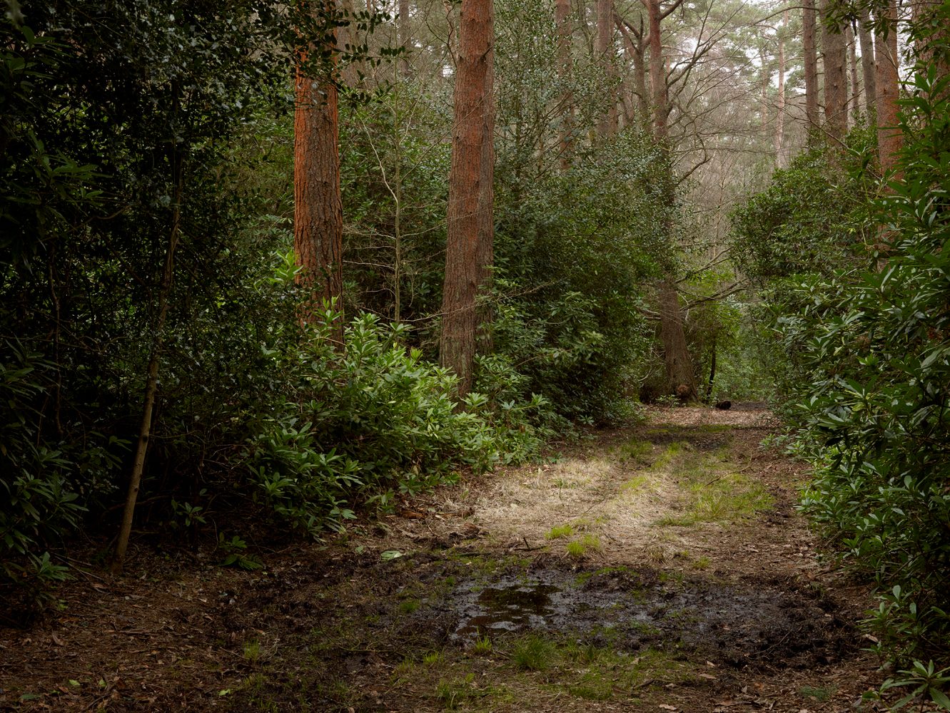 Simon Roberts: Field Notes | Perspectives