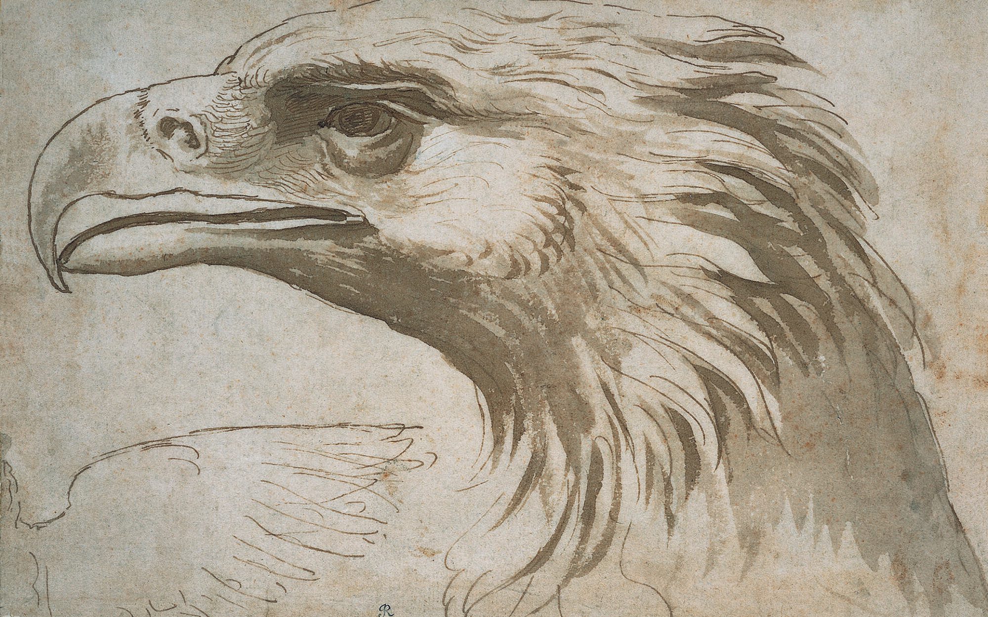 Marking the Journey of a Drawing | Perspectives Blog