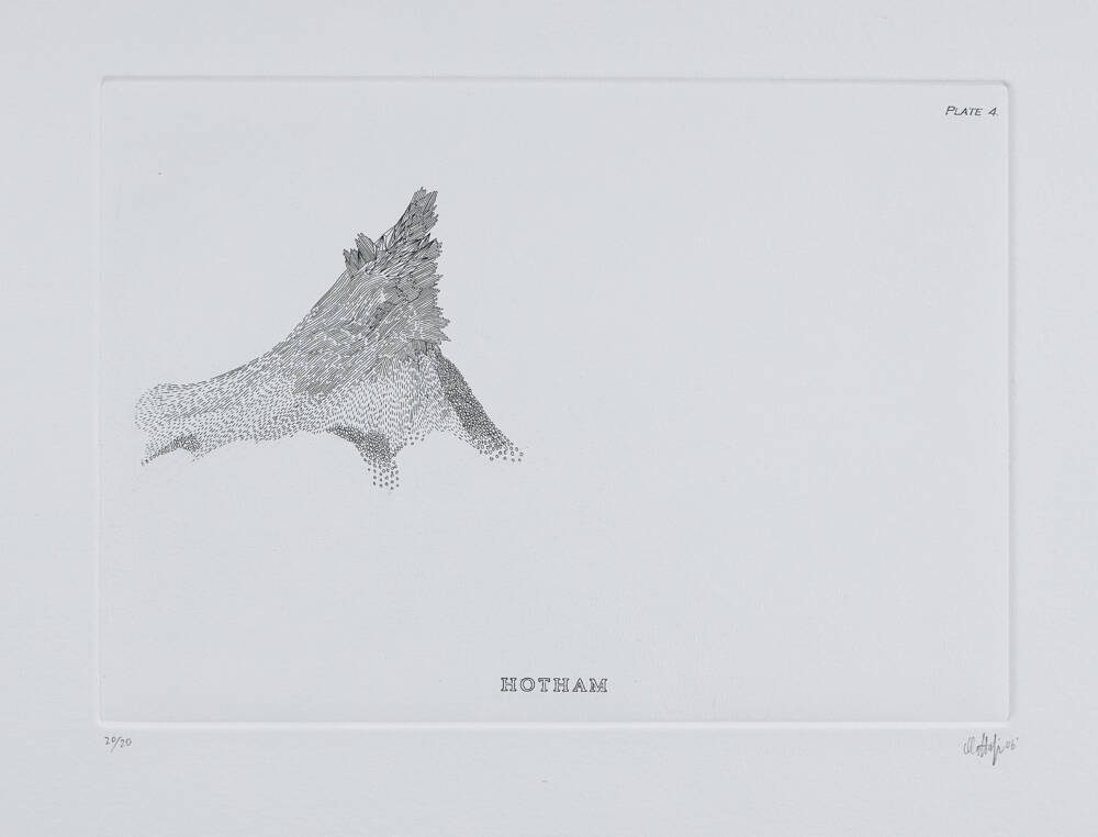 Scratching the Surface: Ilana Halperin’s ‘Emergent Landmass' | Blog